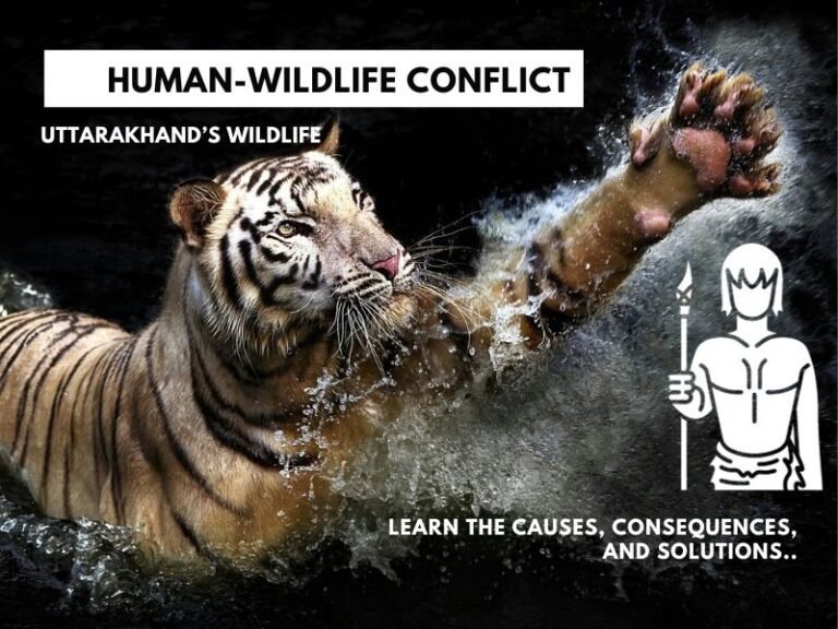 How to Save Uttarakhand’s Wildlife from Human-Wildlife Conflict - Daaju ...